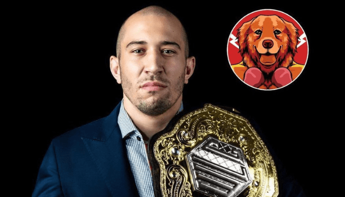 Marshall Inu launching crypto-based fight promotion with 'King of ...