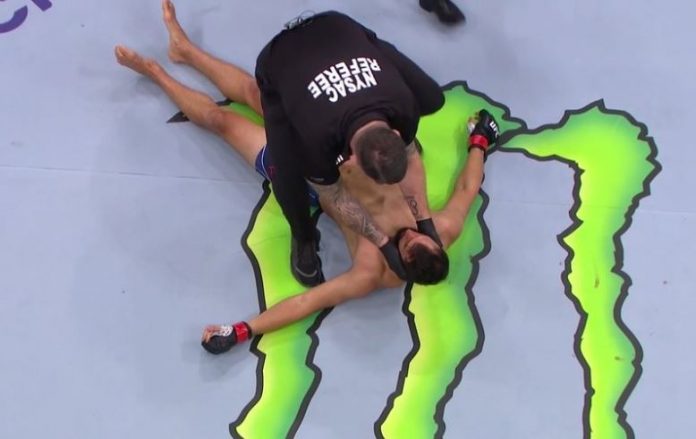 UFC 281 Results: Ryan Spann KO's Dominick Reyes (Video) | BJPenn.com
