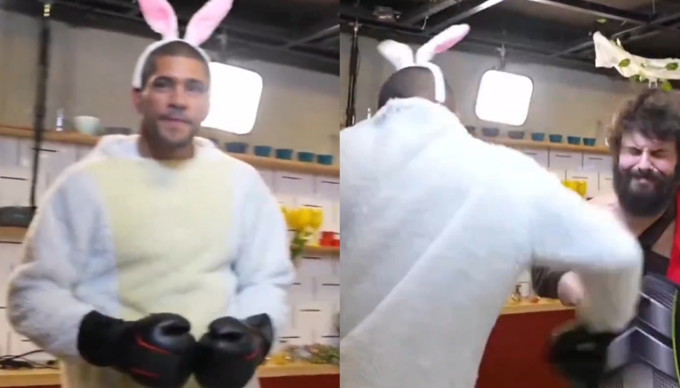 VIDEO | Alex Pereira deals blows in body shot challenge wearing a bunny ...