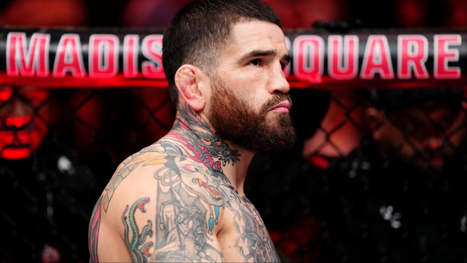 Sean Brady breaks social media silence after wild KO loss at UFC 322 ...